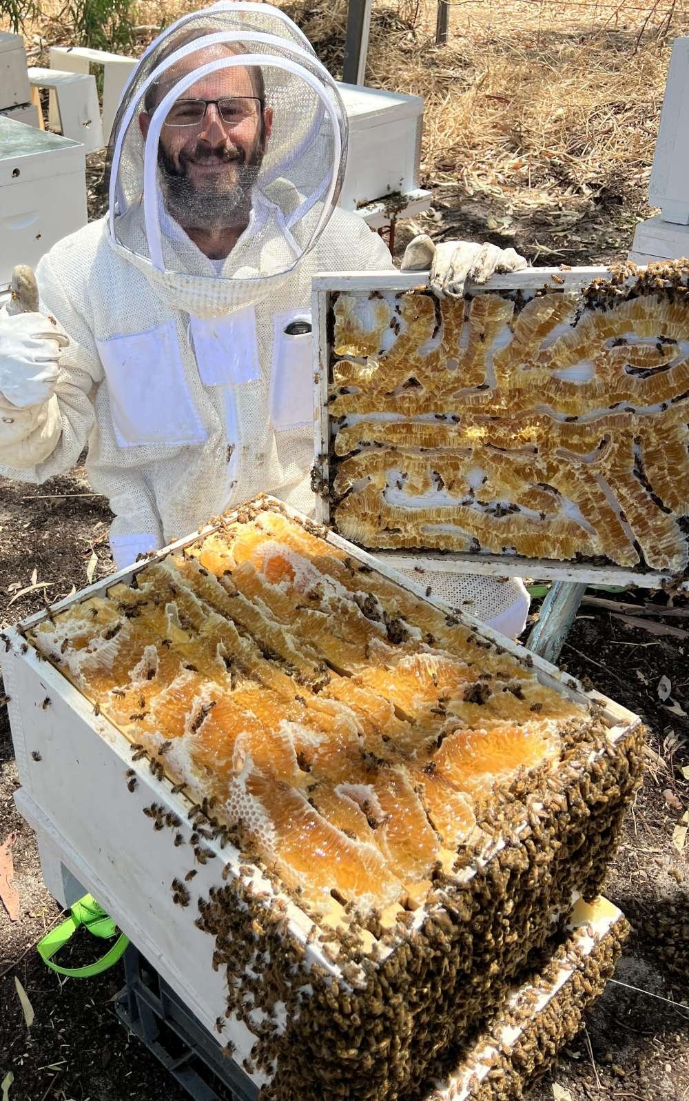 Busy Bees Farm Online Store – Honey from the bees to you